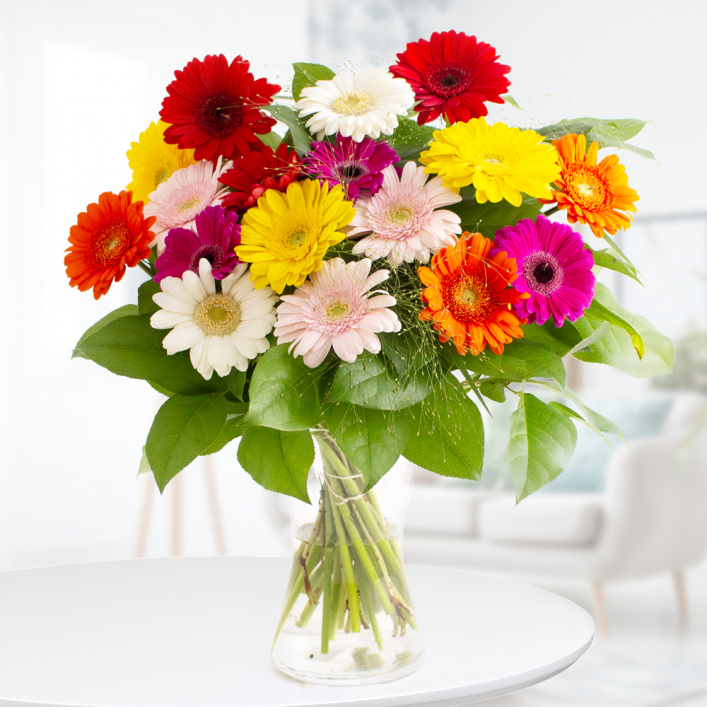 colourful gerberas