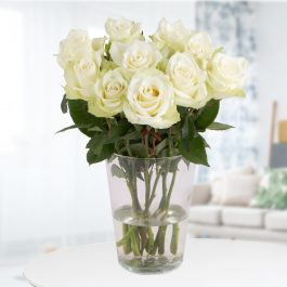 10 White Roses (50cm)| Rose delivery blumenshop.com