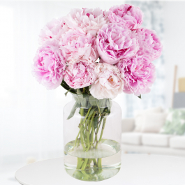 10 Peonies| Blumenshop.com