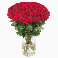 Roses delivery - Send roses to Germany with Blumenshop.com